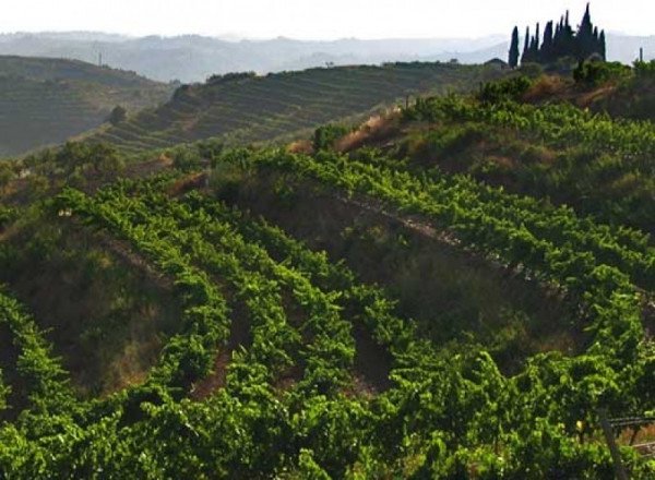 El Priorat es el destino enoturístico con las visitas más caras a ...