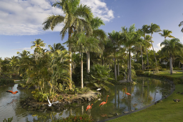 Meliá Hotels International, a través de su plataforma profesional Meliá ...