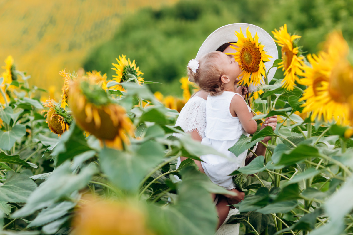 Los destinos repletos de flores para viajar entre mayo y agosto