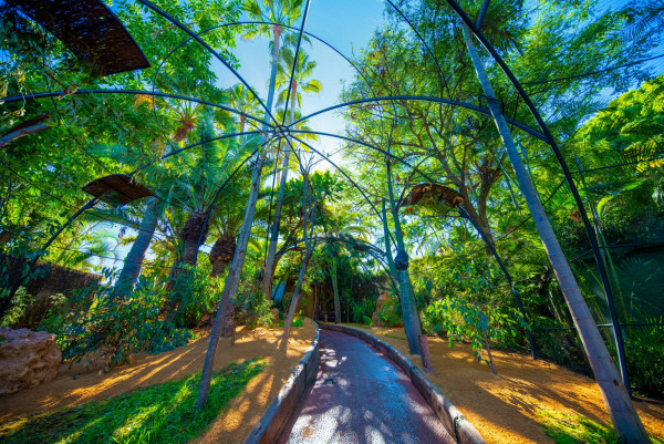 Loro Parque inaugura una cueva de murciélagos y un aviario para loros ...